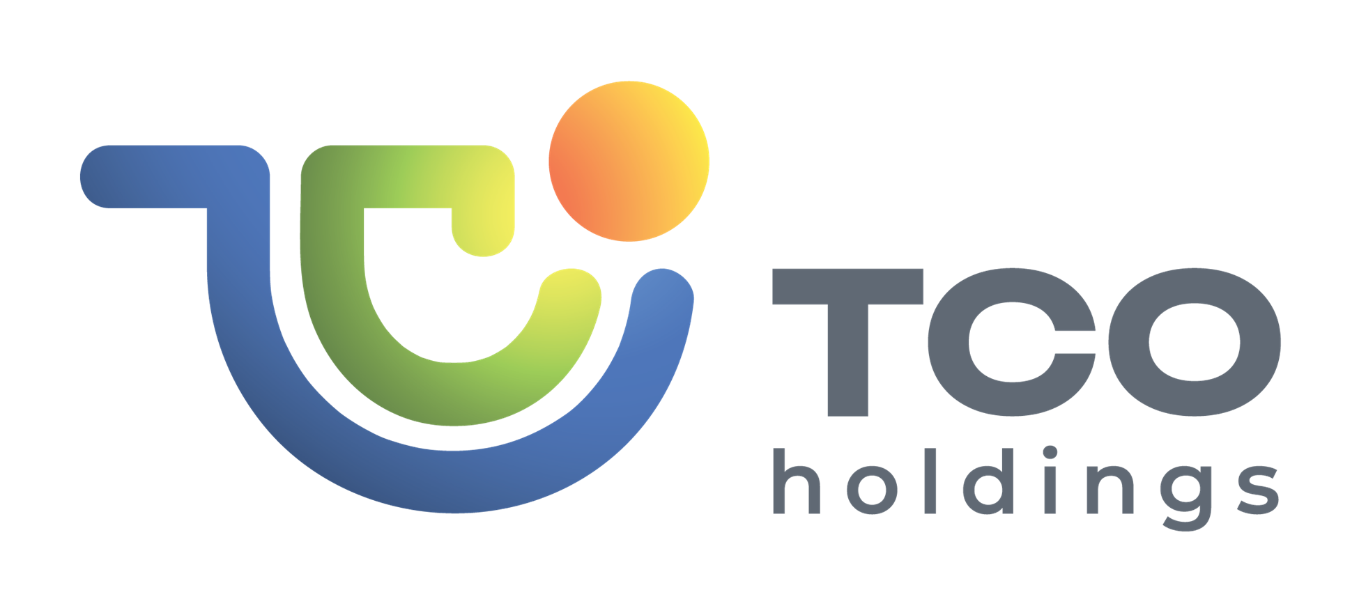 TCO Holdings sắp phát hành trái phiếu chuyển đổi cho 2 quỹ đầu tư để cơ ...